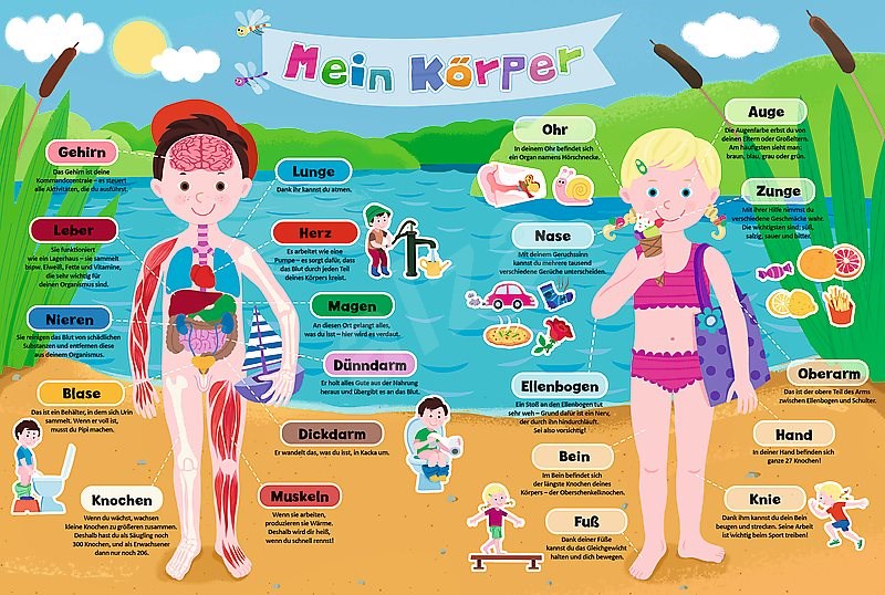 Educational Puzzle - Mein Körper - Deutsche Version - Tischspiel | Alza.at